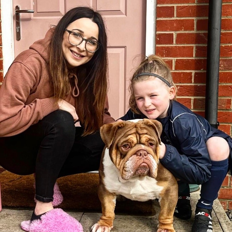 Hector -Now Adopted! - Geordie Bullies Springboard