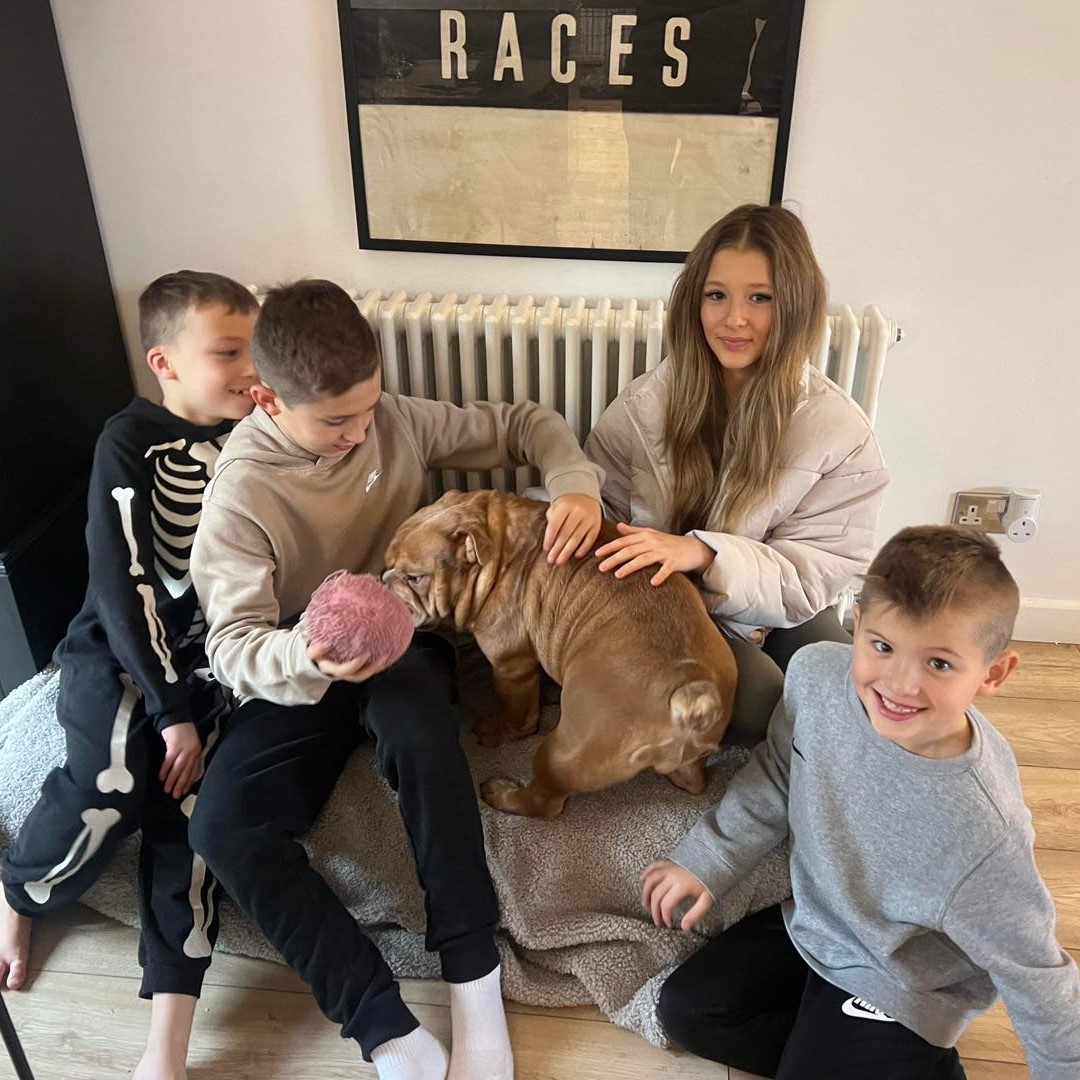 Baby - Now Adopted! - Geordie Bullies Springboard