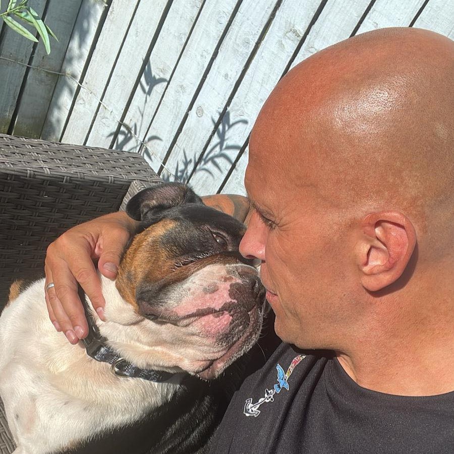 Bronson - Now Adopted! - Geordie Bullies Springboard