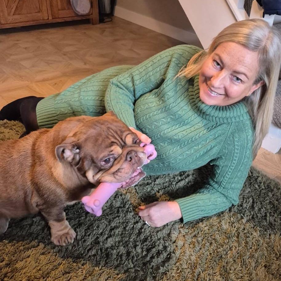 Pippa - Now Adopted! - Geordie Bullies Springboard