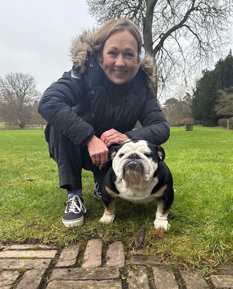 Bibi - Now Adopted! - Geordie Bullies Springboard