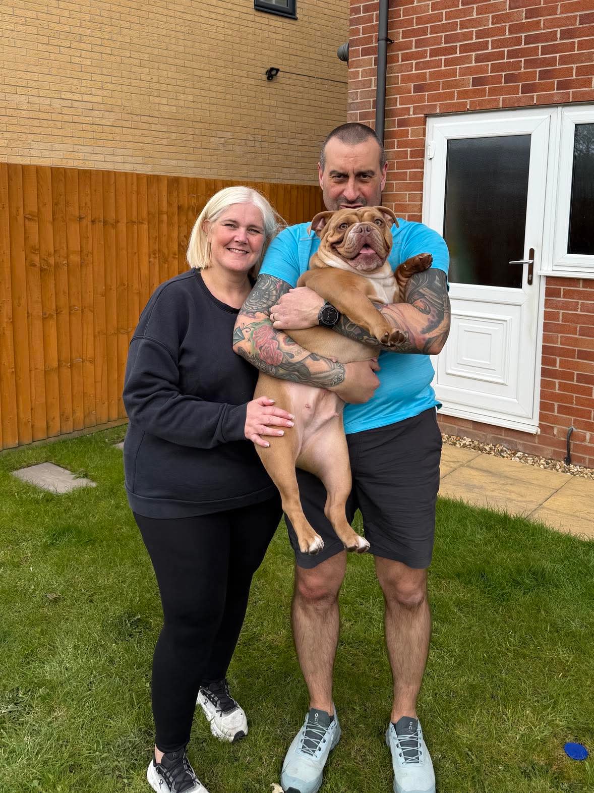 Mabel - Now Adopted! - Geordie Bullies Springboard