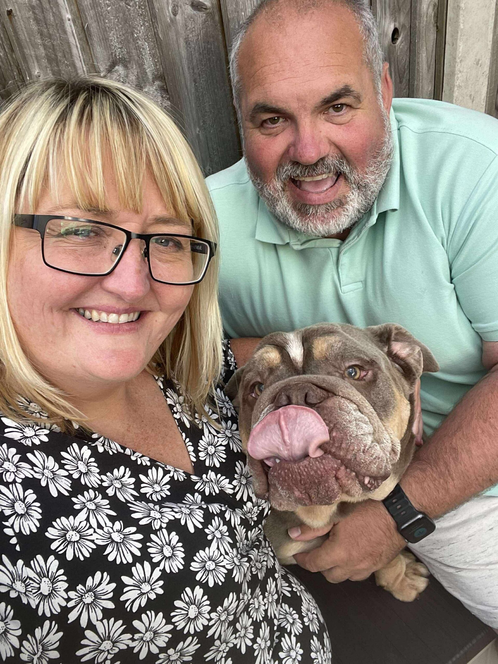 Baxter - Now Adopted! - Geordie Bullies Springboard