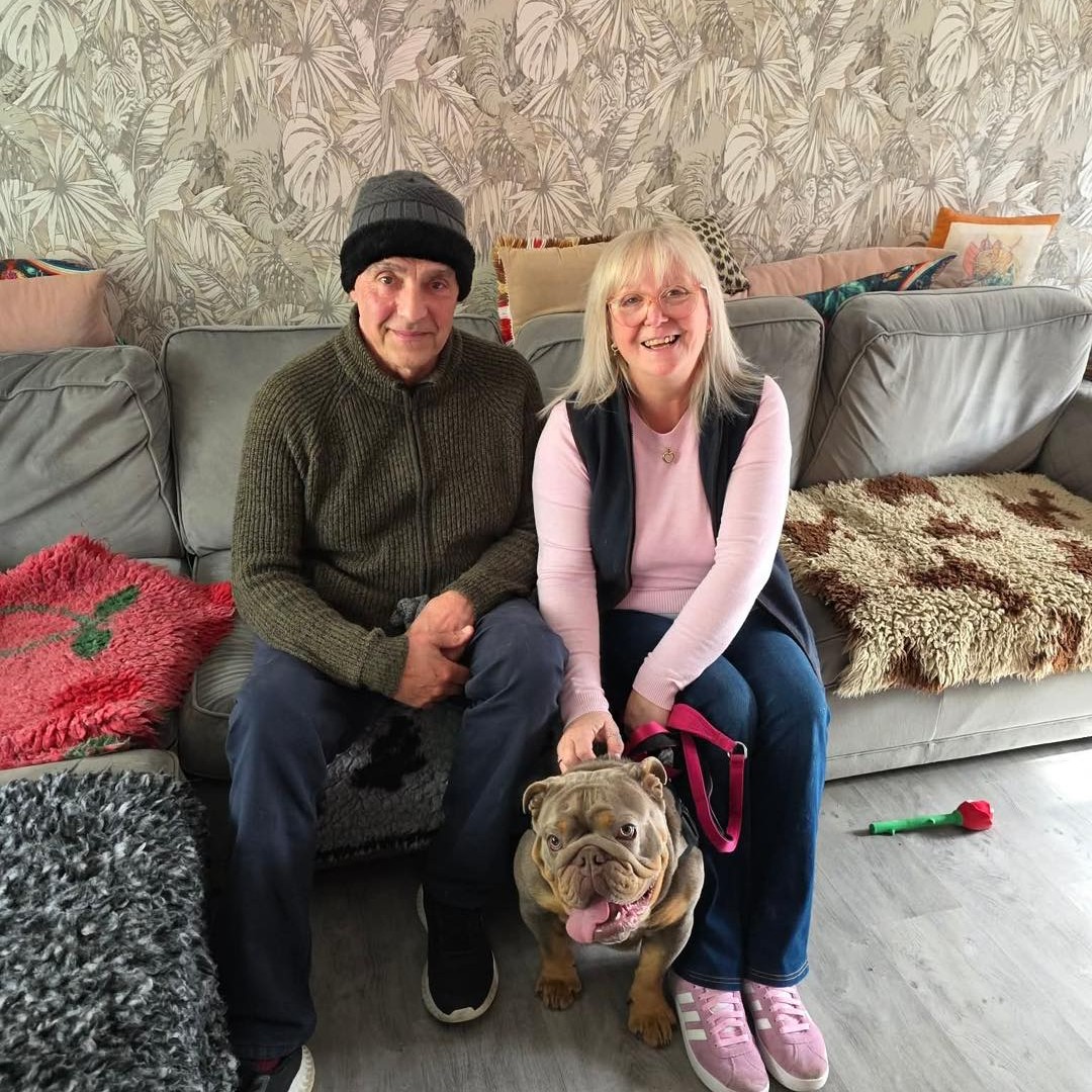 Maddie - Now Adopted - Geordie Bullies Springboard